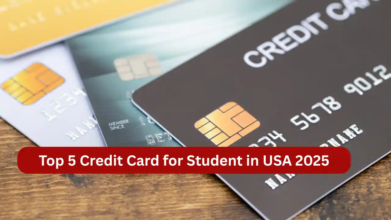 Top 5 Credit Card For Student In USA 2025 – Must-Have Cards To Build ...